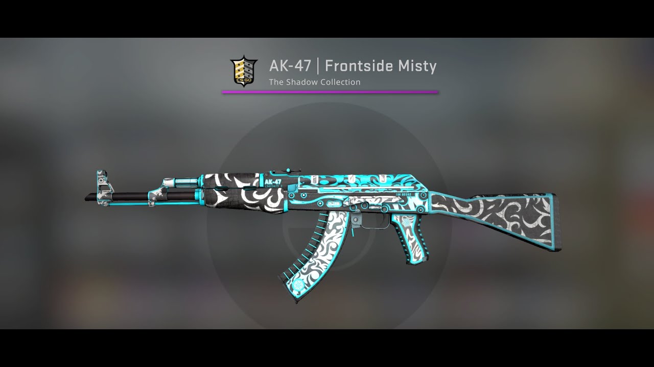 The Top 10 AK-47 Skins in CS:GO - SkinMarkets.com