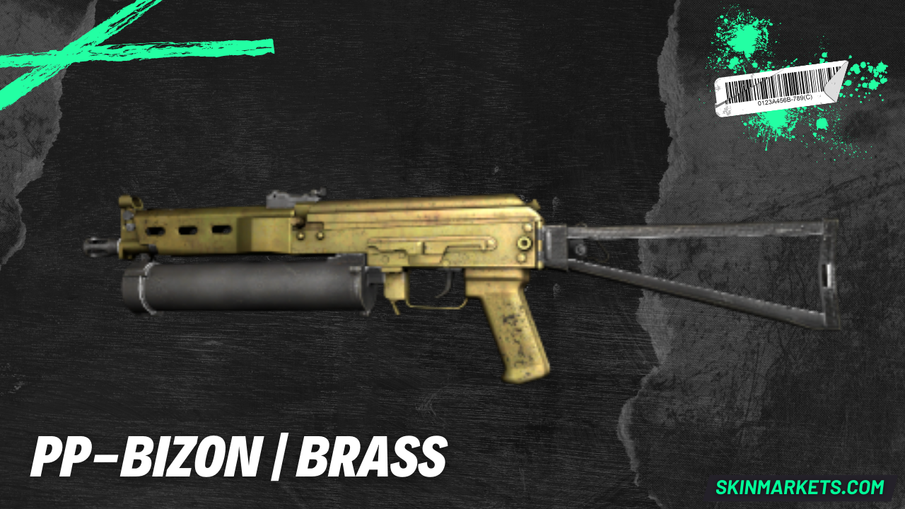 The Top 10 PP-Bizon Skins in CS:GO 2023 | SkinMarkets.com