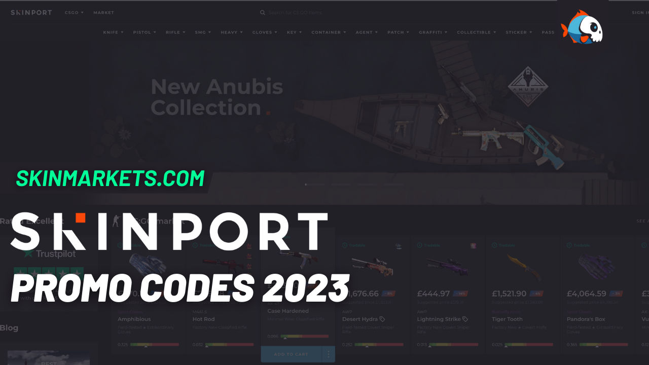 All You Need to Know About Skinport - skinmarkets.com