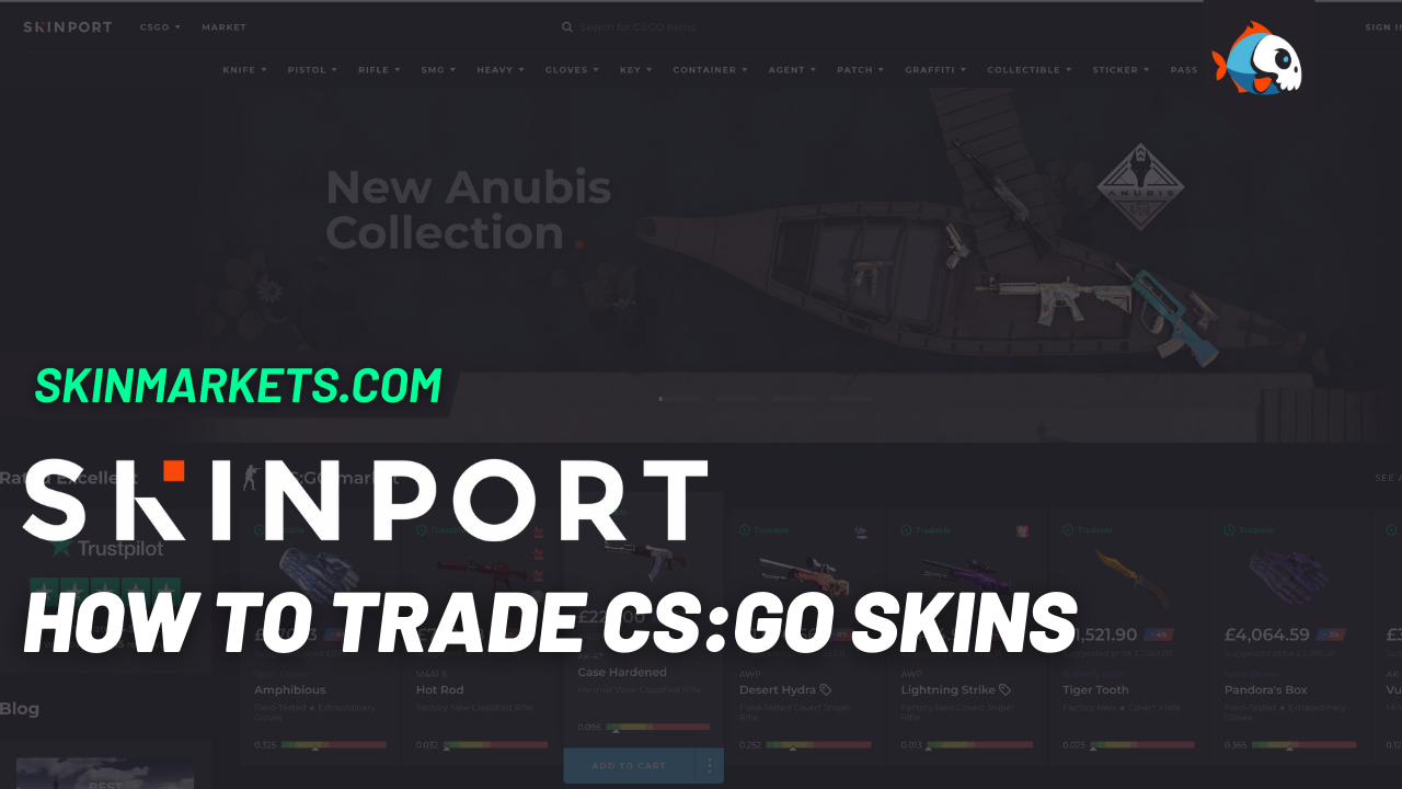 All You Need to Know About Skinport - skinmarkets.com