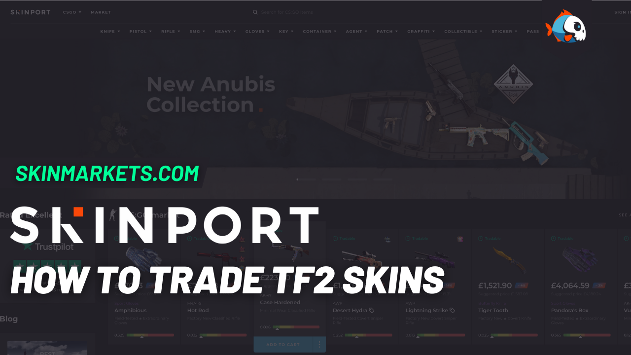 All You Need to Know About Skinport - skinmarkets.com
