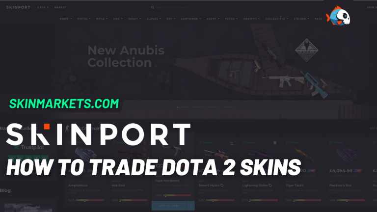 All You Need to Know About Skinport - skinmarkets.com