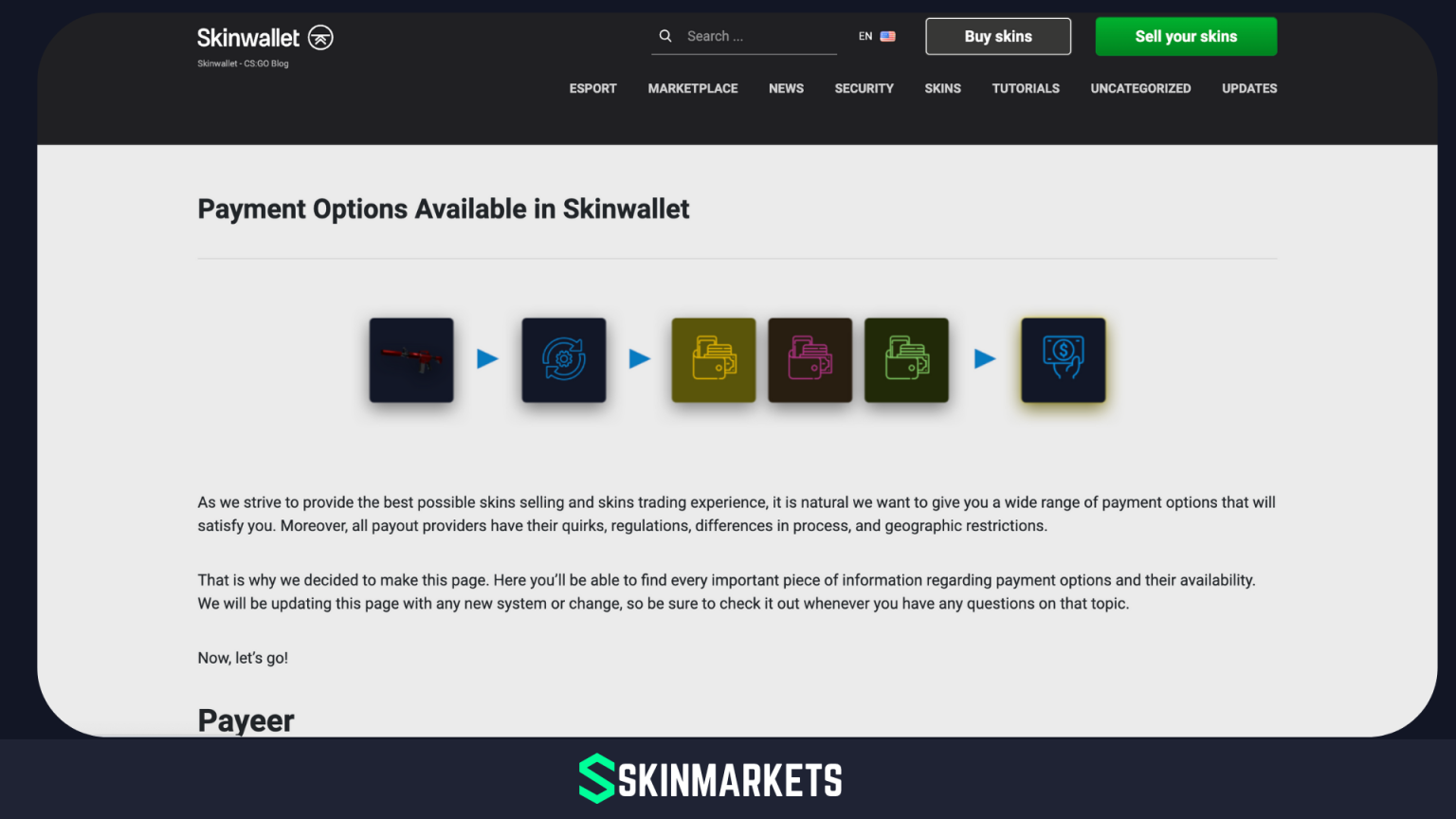 Payment & Withdrawal Methods SkinWallet - skinmarkets.com